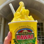 Hawaii Circle Island Tour - The Value of This Tour