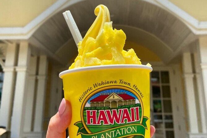 Hawaii Circle Island Tour - The Value of This Tour