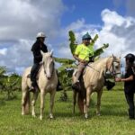Hawaii: Small Group Rainforest Trail Ride - Is This Tour Worth the Price?