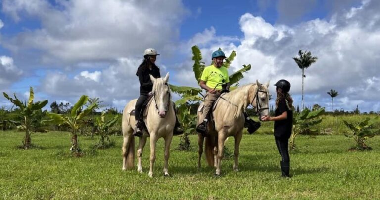 Hawaii: Small Group Rainforest Trail Ride - Is This Tour Worth the Price?