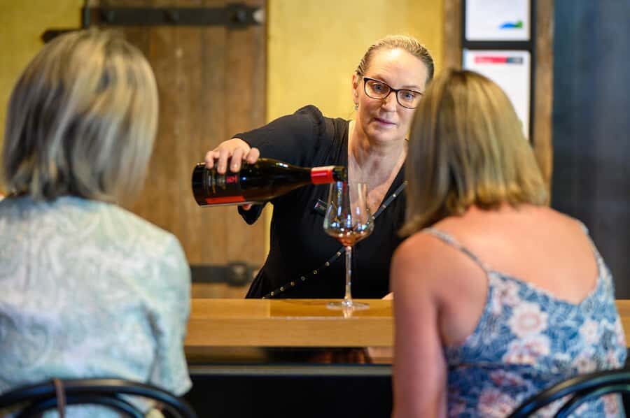 Hawkes Bay: Half-Day Wine Tour with Tastings and Cheeseboard - The Sum Up