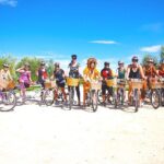 Hawkes Bay Wineries Self-Guided Electric Bike Tour - Price and Value