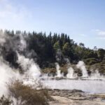 HELL'S GATE Mud Spa, Rotorua - Group Day Tour Ex Auckland - What to Expect: The Practical Details