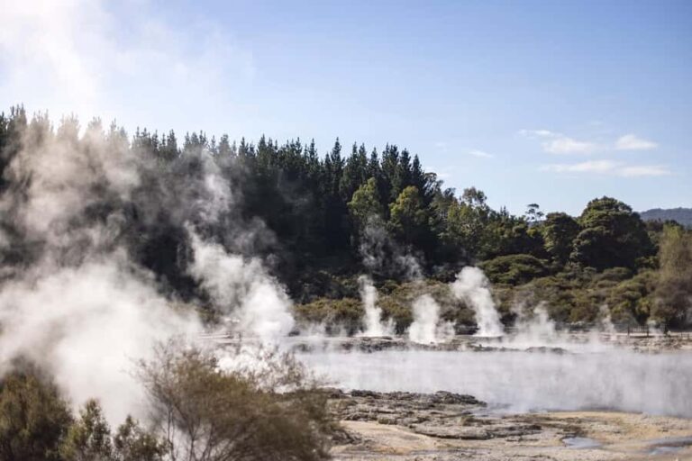 HELL'S GATE Mud Spa, Rotorua - Group Day Tour Ex Auckland - What to Expect: The Practical Details