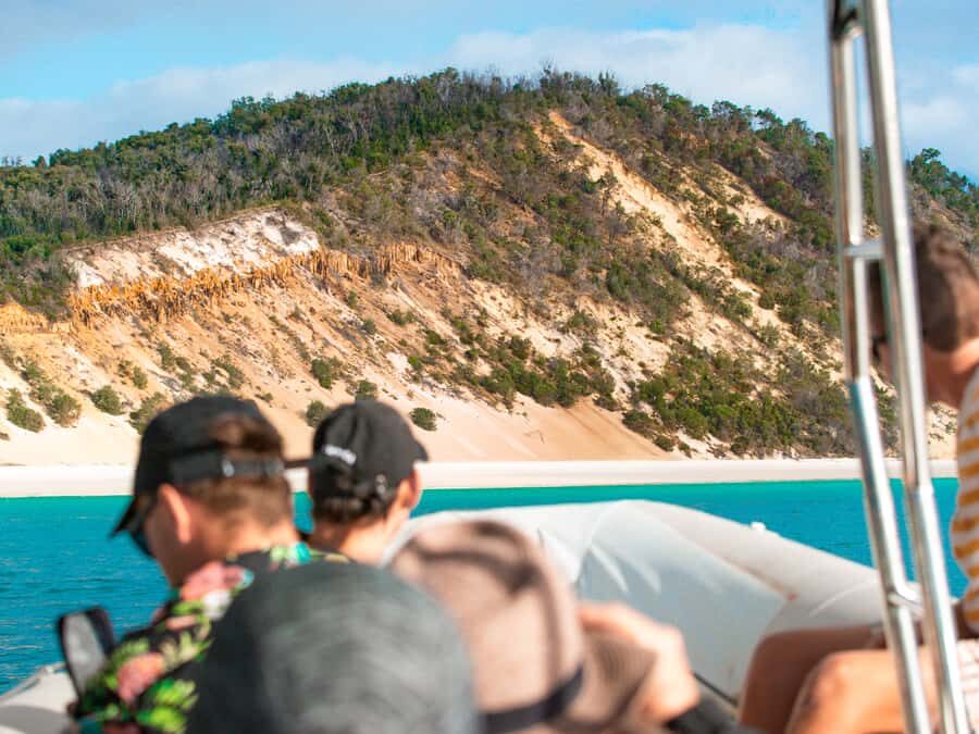 Hervey Bay: Half-Day Whale and Island Adventure by Boat - Who Is This Tour Best Suited For?