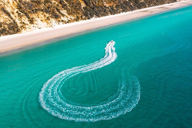 Hervey Bay: Half Day Whale watching & Island Stop Tour - Practical Details: Transport, Timing, and Booking