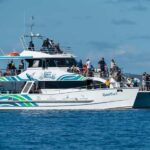 Hervey Bay: Humpback Whale-Watching Half-Day Cruise - The Vessel and Comfort: Why It Matters