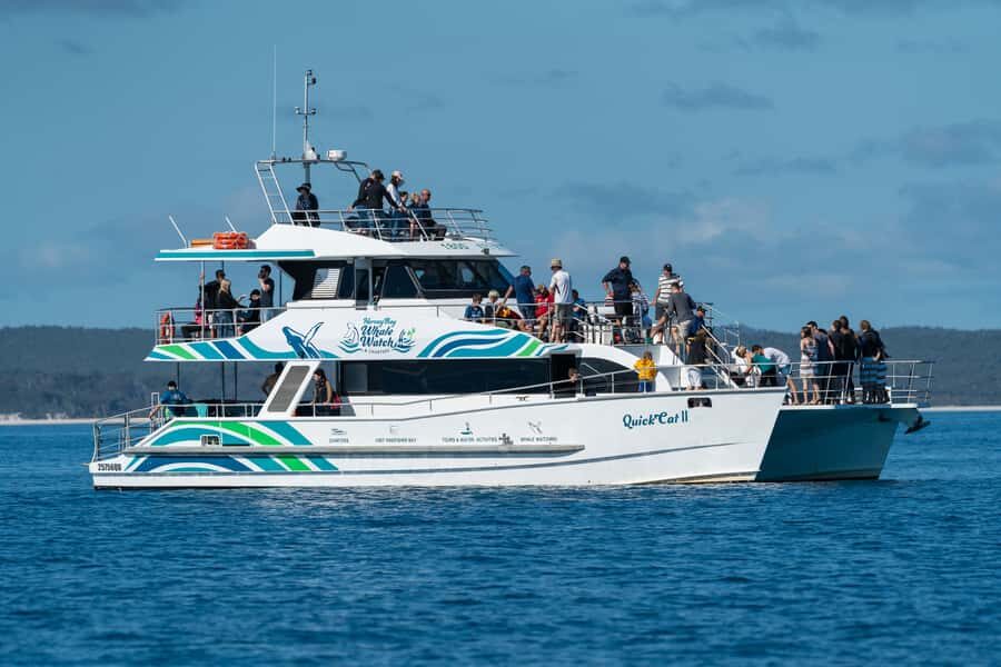 Hervey Bay: Humpback Whale-Watching Half-Day Cruise - The Vessel and Comfort: Why It Matters