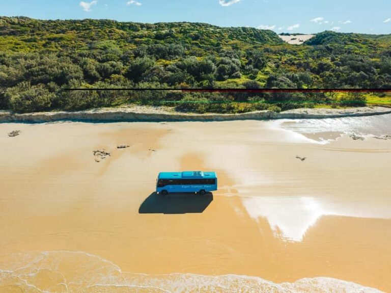 Hervey Bay: K'Gari (Fraser Island) 5 Day Ultimate Adventure - Introduction: Why This Tour Stands Out