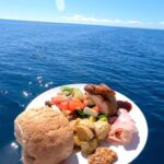 Hervey Bay: Pre-season Whale and Dolphin Watching Cruise - Detailed Itinerary Breakdown