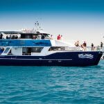 Hervey Bay Whale Watching Cruise - The Experience: What to Expect