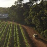 Hidden Gems: Boutique Full-Day Wine, Farm & Lunch Tour - FAQ