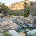 Hidden Gems of Sierra Laguna: El Triunfo and Natural Springs. - Authentic Experiences and Guide Insights