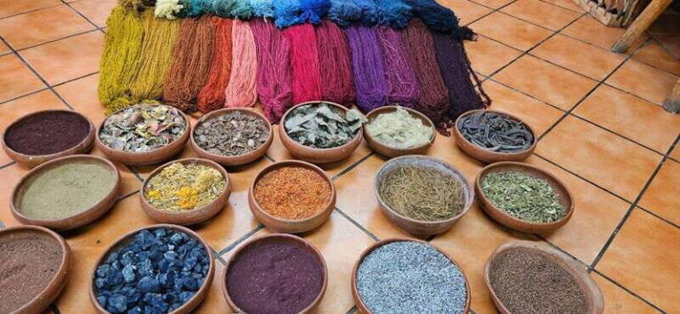 Hierve el agua: A Day of Adventure, Culture, and Flavor - Why This Tour Offers Great Value