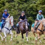 High Country Enchantment Full-Day Horse Trek - Practical Details and Considerations