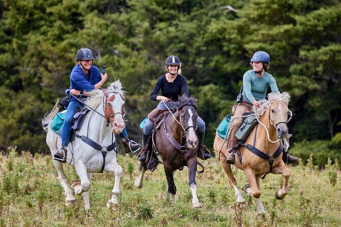 High Country Enchantment Full-Day Horse Trek - Practical Details and Considerations