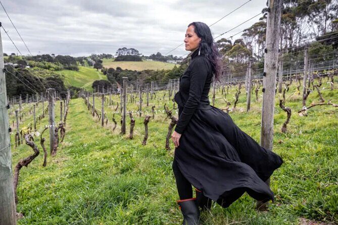High End Sommelier Tour on Waiheke Island - Detailed Breakdown of the Itinerary