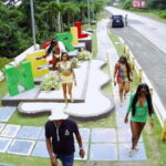 Highlights of 7 mile negril and sunset at ricks cafe - A Deep Dive into the Tour Experience