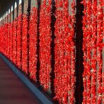 Highlights of Canberra Full Day Tour - Who Will Love This Tour?