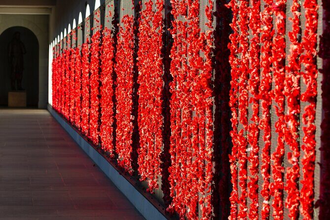 Highlights of Canberra Full Day Tour - Who Will Love This Tour?