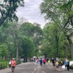 Highlights of Central Park  New York City Guided Walking Tour - Practical Tips for Your Tour