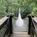 Hike and Bike the Vancouver Forests - What the Tour Entails: A Breakdown