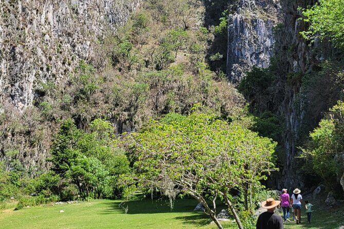 Hike in Apoala and Discover its Impressive Waterfalls - What Reviewers Have Noted