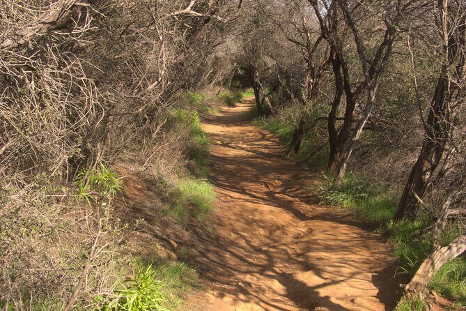 Hike in the Santa Monica Mountains - Final Thoughts: Who Is This Tour For?