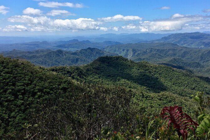 Hiking Adventure including Fiji's Highest Mountain and 3 Nights - Day 2: Conquering Mount Tomanivi