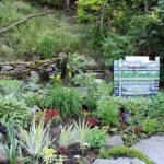 Hiking and Adventure from Napanee to Bon Echo Provincial Park - Why This Tour Works