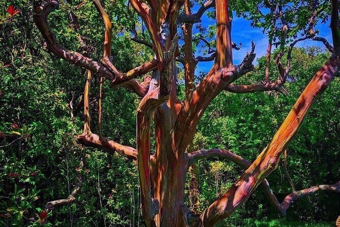 Hiking Maui Hawaii - Who Will Love This Tour?