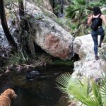 Hiking to Desert Palm Oases of San Carlos with a Biologist - Why This Tour Stands Out