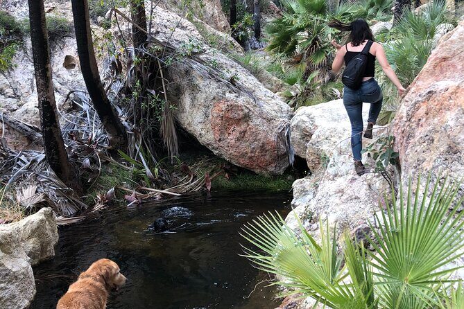 Hiking to Desert Palm Oases of San Carlos with a Biologist - Why This Tour Stands Out