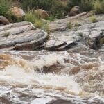 Hiking Ventana Canyon and Sabino Canyon - Practical Details and Logistics