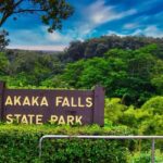 Hilo: Akaka Falls, Volcanoes, and Onomea Bay Guided Tour - Practical Details & Value