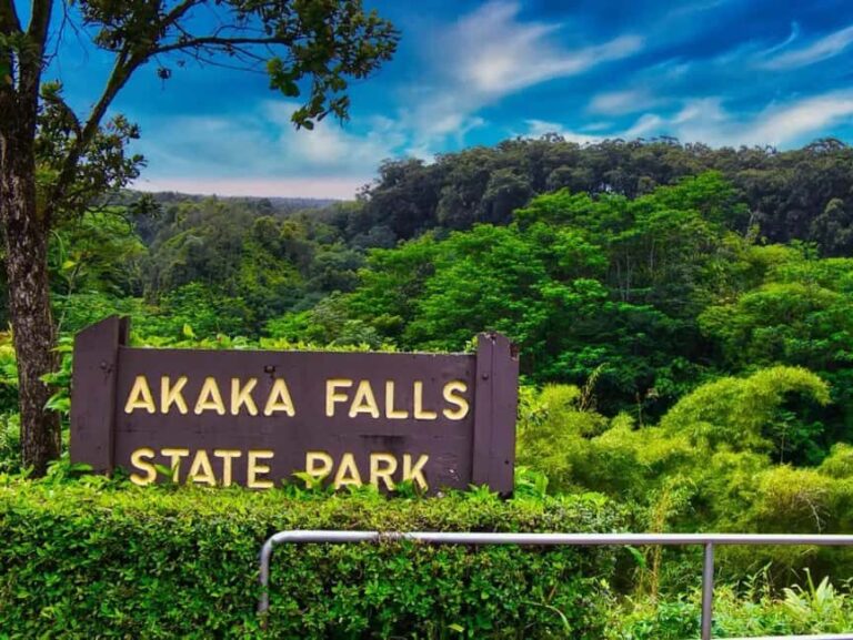 Hilo: Akaka Falls, Volcanoes, and Onomea Bay Guided Tour - Practical Details & Value