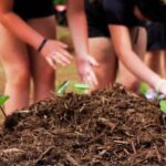 Hilo: Big Island Family Farm & Culture UTV Experience - Who Is This Tour Best Suited For?