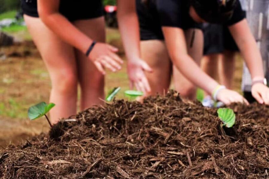 Hilo: Big Island Family Farm & Culture UTV Experience - Who Is This Tour Best Suited For?