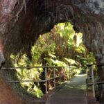 Hilo: Hawaii Volcanoes National Park and Hilo Highlights - In-Depth Review of the Tour Experience