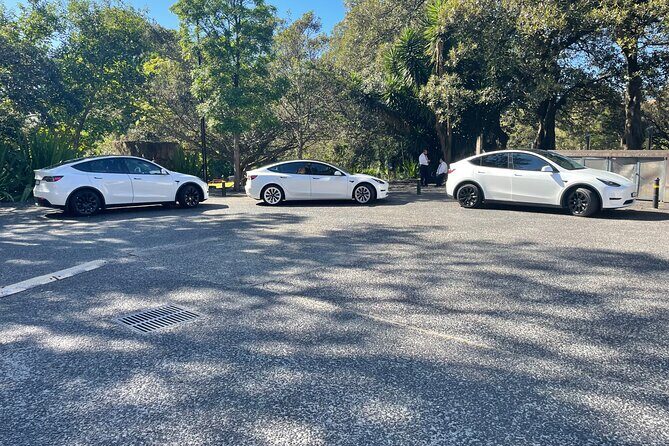 Hire Car and Limousine Service - What To Expect During Your Transfer