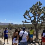Historic Grand Canyon Western Ranch by Bus with Helicopter Tour - Stepping Back in Time at the Grand Canyon Western Ranch