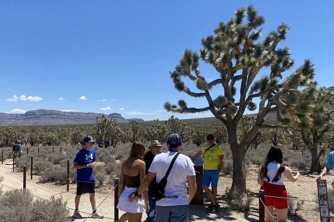 Historic Grand Canyon Western Ranch by Bus with Helicopter Tour - Stepping Back in Time at the Grand Canyon Western Ranch