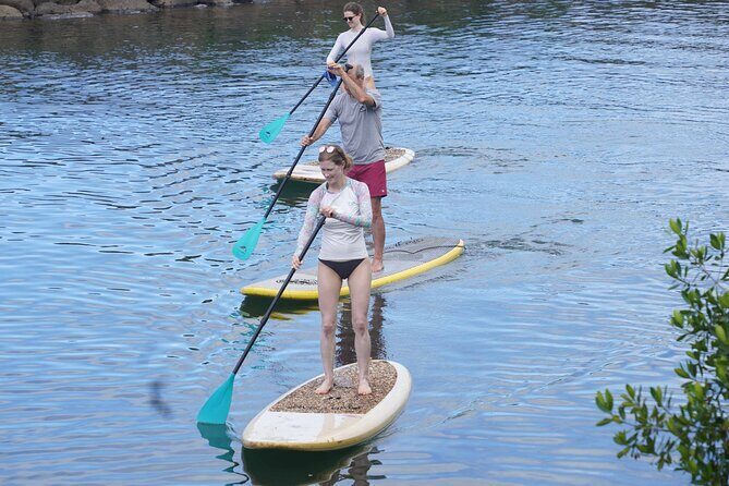 Historic Haleiwa Rainbow Bridge Stand Up Paddle (Anahulu River) - Why This Tour Offers Great Value