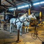 Historic Village Herberton Family Pass (2A+2C) - Insights from the Reviews