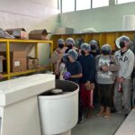 History of "Mole" and tour of the "Doña Elena" factory - The Journey Through Mole and Its Heritage