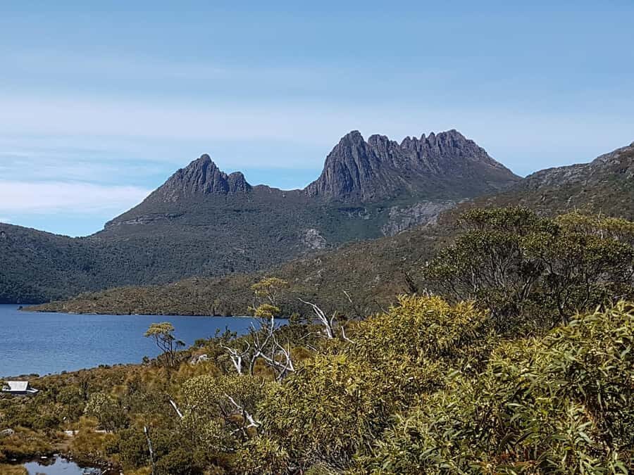 Hobart: 4 Day Wild Tasmania Tour - Exploring Tasmania in Four Days