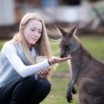 Hobart: Admission Ticket to Bonorong Wildlife Sanctuary - Guided Tours and Educational Content