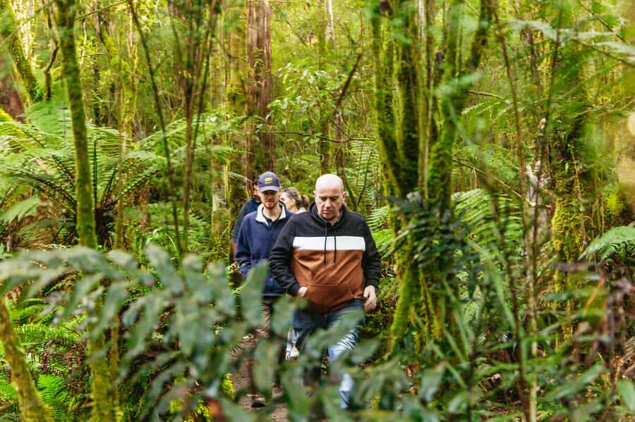 Hobart: Bruny Island Gourmet Sightseeing Day Tour - What to Expect from the Tour