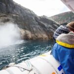 Hobart: Bruny Island Wilderness Coast Eco Cruise with Lunch - Practical Details and Tips