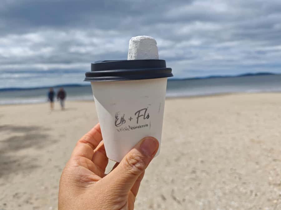 Hobart, Bush and Beach Escape - 2 Hour Small Group Tour - A Detailed Look at the Hobart, Bush and Beach Escape